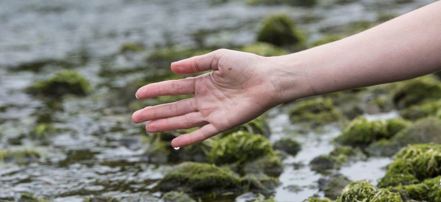 Bodies of Water: An immersive performance experience - Institut ...