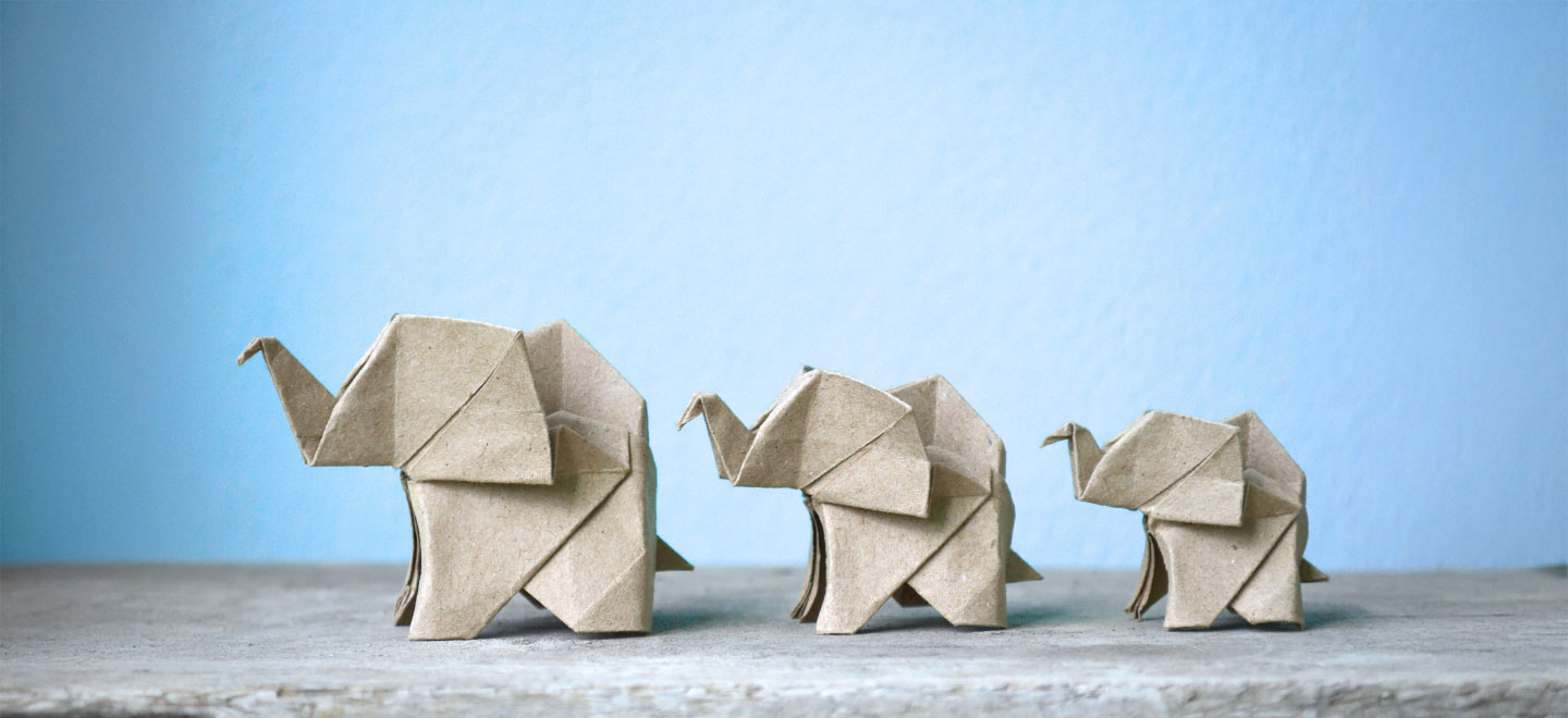 Storytime Special Elephants - Institut français · Écosse